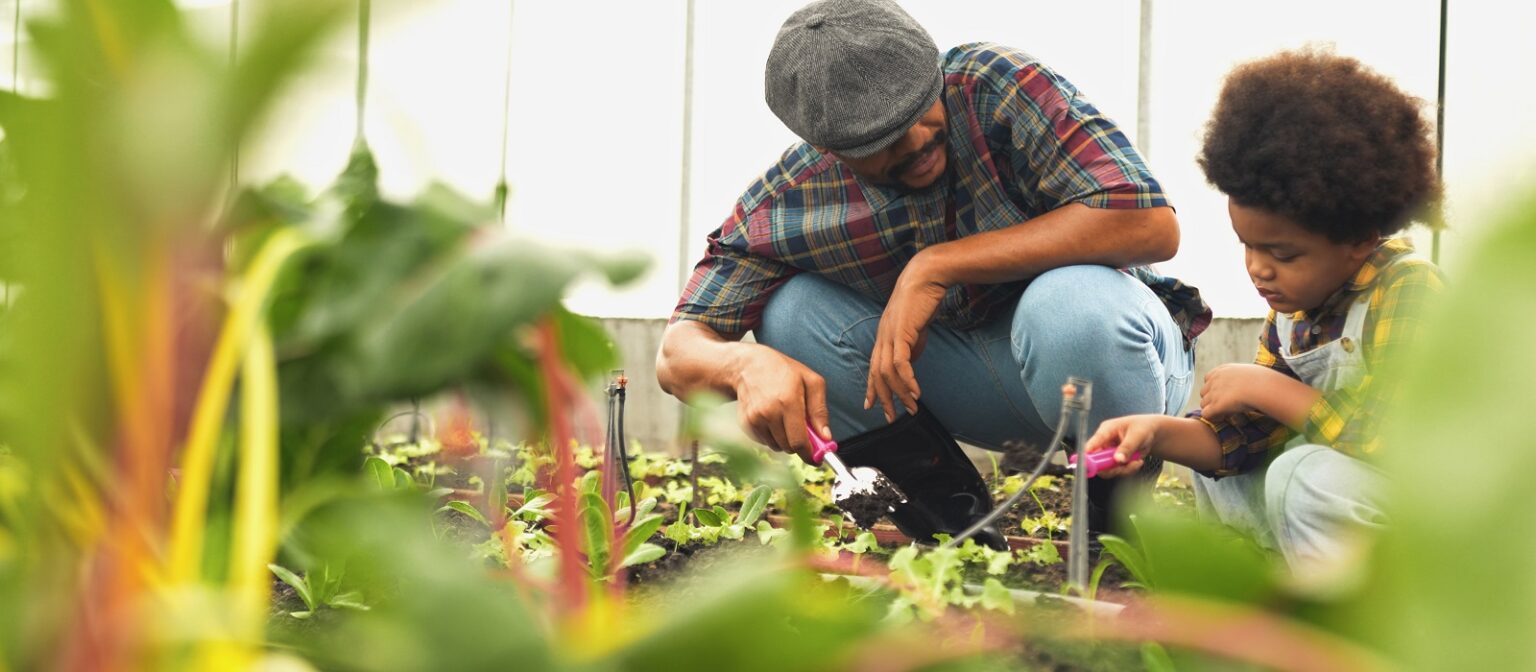 The Commonwell’s SEEDit programme enables families to grow home ...